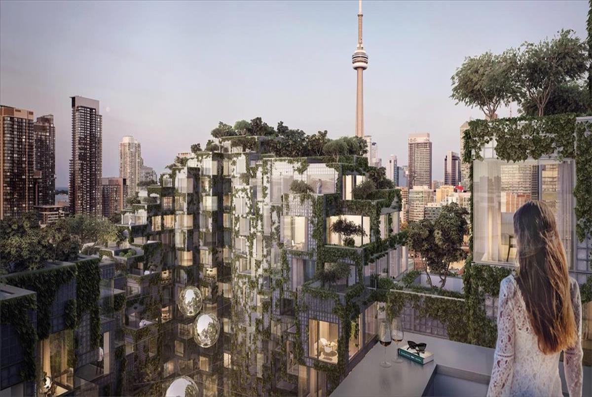 King Toronto Condos | Shervin Zeinalian - Real Estate Sales Representative